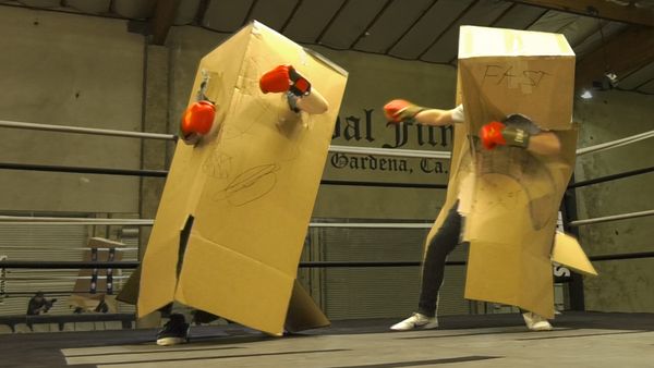 Cardboard Box Boxing Match | Mythical Society